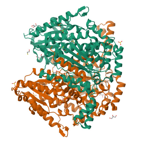 RCSB PDB - 1U0E: Crystal structure of mouse phosphoglucose isomerase