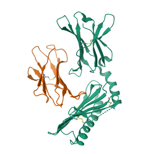 RCSB PDB - 1U58: Crystal structure of the murine cytomegalovirus MHC-I ...