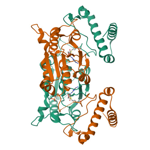 RCSB PDB - 1UAM: Crystal structure of tRNA(m1G37)methyltransferase ...