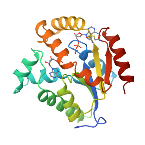 RCSB PDB - 1UKY: SUBSTRATE SPECIFICITY AND ASSEMBLY OF CATALYTIC CENTER ...