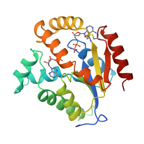 RCSB PDB - 1UKZ: SUBSTRATE SPECIFICITY AND ASSEMBLY OF CATALYTIC CENTER ...