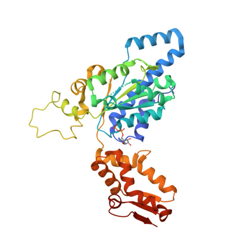 RCSB PDB - 1UM8: Crystal structure of helicobacter pylori ClpX