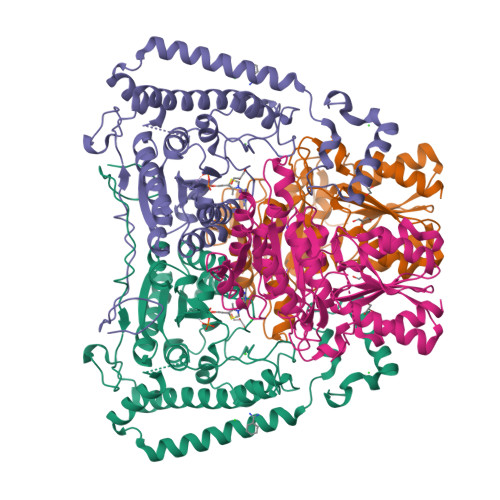 RCSB PDB - 1V16: CROSSTALK BETWEEN COFACTOR BINDING AND THE ...