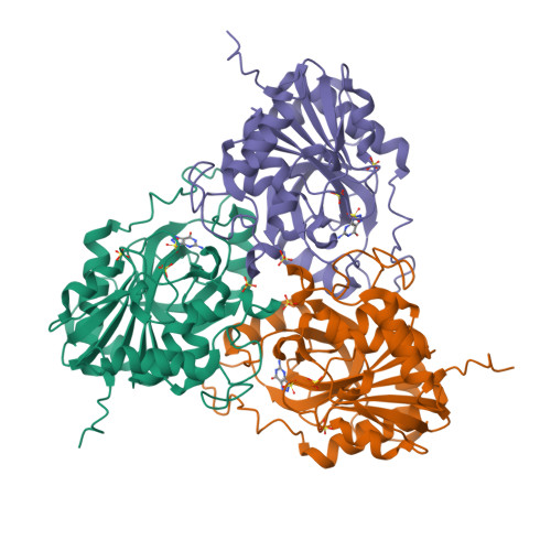 RCSB PDB - 1V41: Crystal structure of human PNP complexed with 8-Azaguanine