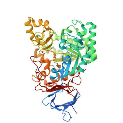 RCSB PDB - 1V4Y: The functional role of the binuclear metal center in D ...