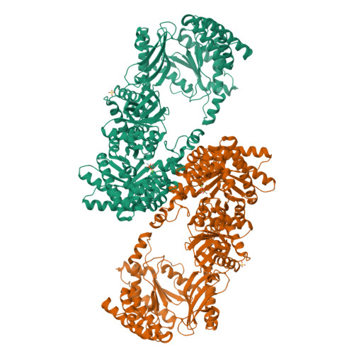 RCSB PDB - 1VBH: Pyruvate Phosphate Dikinase with bound Mg-PEP from Maize