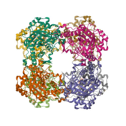 RCSB PDB - 1VCG: Crystal Structure of IPP isomerase at P43212