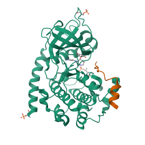 RCSB PDB - 1VEB: Crystal Structure of Protein Kinase A in Complex with ...