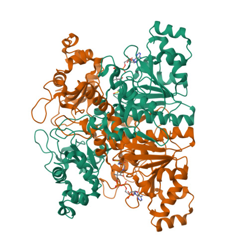 RCSB PDB - 1VGQ: Formyl-CoA transferase mutant Asp169 to Ala