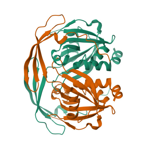 RCSB PDB - 1VIQ: Crystal structure of putative ADP ribose pyrophosphatase