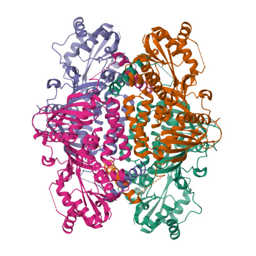 RCSB PDB - 1VL2: Crystal structure of Argininosuccinate synthase ...