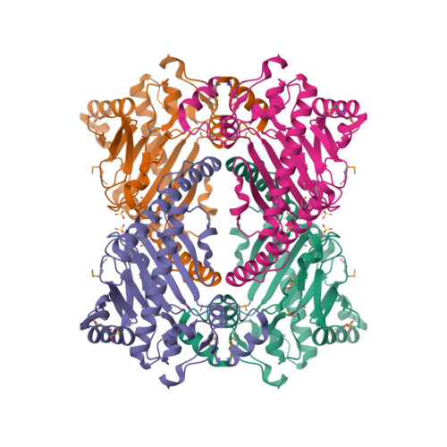 RCSB PDB - 1WA6: The structure of ACC oxidase