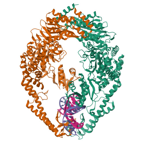 RCSB PDB - 1WB9: Crystal Structure of E. coli DNA Mismatch Repair ...
