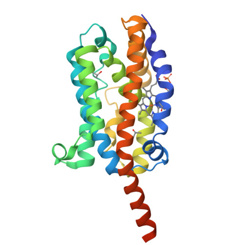 RCSB PDB - 1WE1: Crystal structure of heme oxygenase-1 from ...