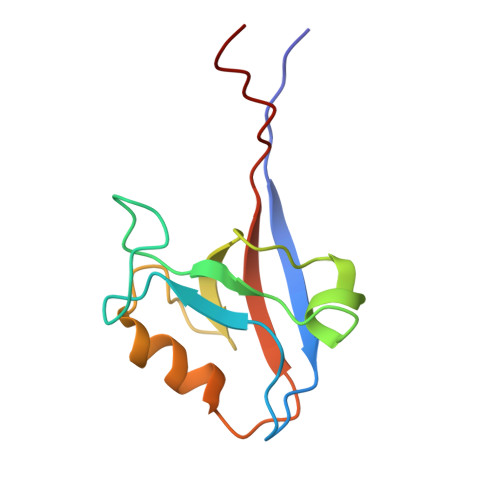 RCSB PDB - 1WHA: Solution structure of the second PDZ domain of human ...