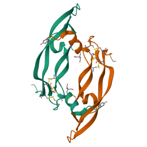 RCSB PDB - 1WQ8: Crystal structure of Vammin, a VEGF-F from a snake venom