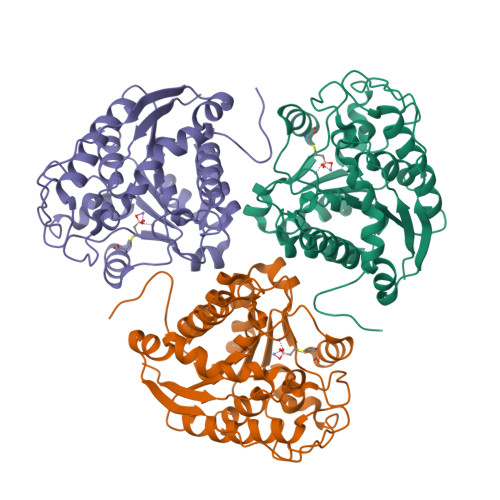 RCSB PDB - 1WVA: Crystal structure of human arginase I from twinned crystal