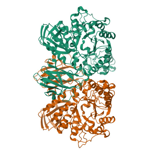 RCSB PDB - 1WZK: Thermoactinomyces vulgaris R-47 alpha-amylase II (TVA ...