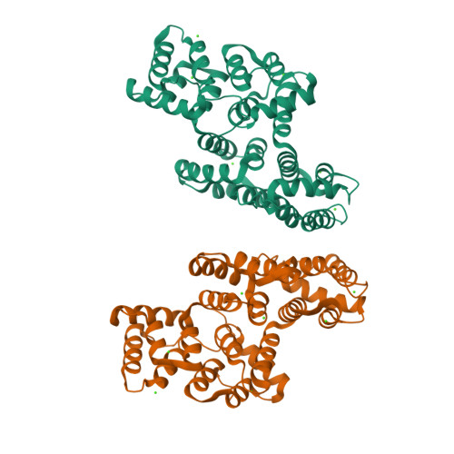 RCSB PDB - 1XJL: Structure of human annexin A2 in the presence of ...