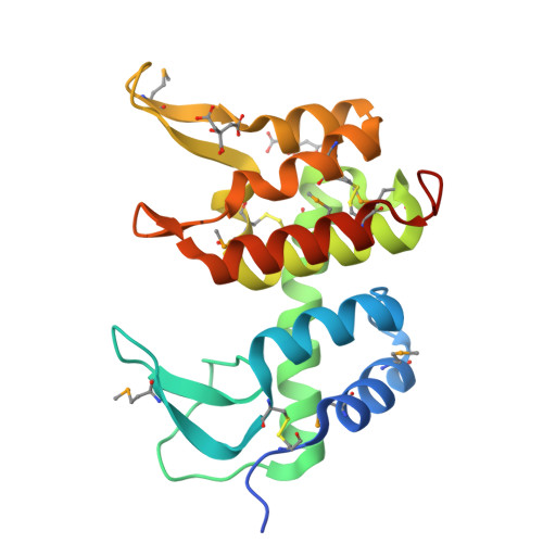 RCSB PDB - 1XJT: Crystal structure of active form of P1 phage endolysin Lyz