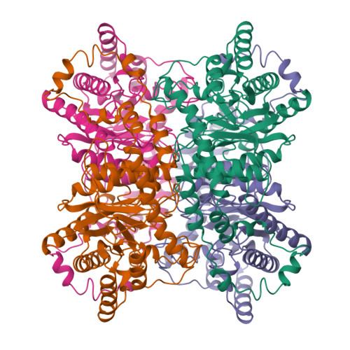 RCSB PDB - 1XLF: MECHANISM FOR ALDOSE-KETOSE INTERCONVERSION BY D ...