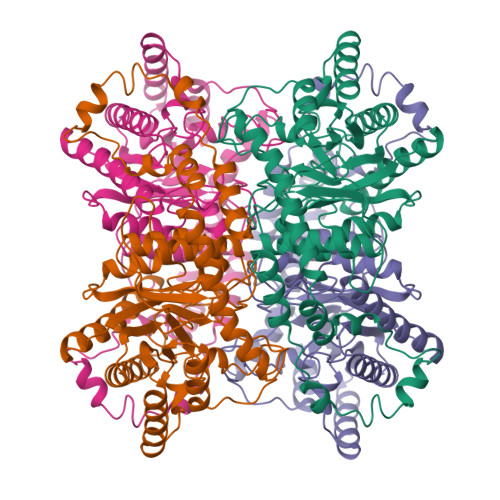 RCSB PDB - 1XLH: MECHANISM FOR ALDOSE-KETOSE INTERCONVERSION BY D ...