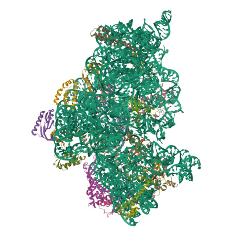 RCSB PDB - 1XNQ: Structure of an Inosine-Adenine Wobble Base Pair ...