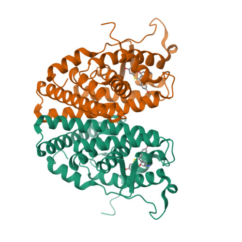 RCSB PDB - 1XP6: HUMAN ESTROGEN RECEPTOR ALPHA LIGAND-BINDING DOMAIN IN COMPLEX WITH COMPOUND 16