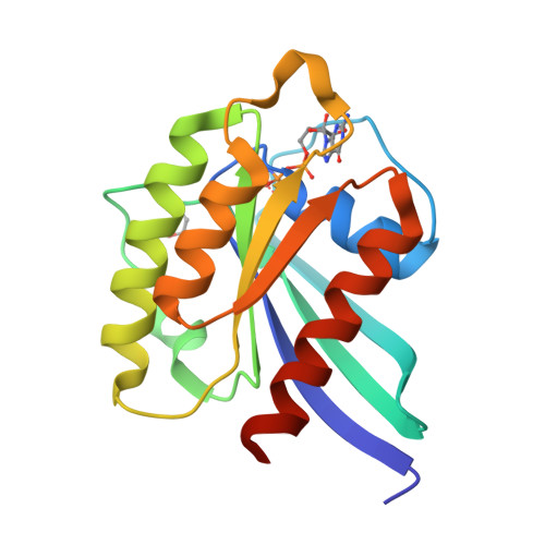 RCSB PDB - 1XTR: Structure of small GTPase human Rheb in complex with ...