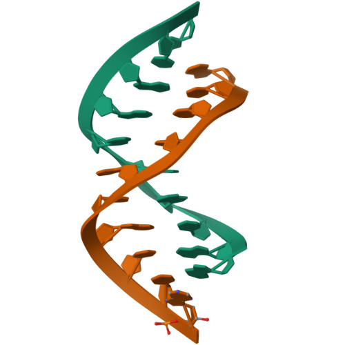 RCSB PDB - 1XV0: Solution NMR structure of RNA internal loop with three ...