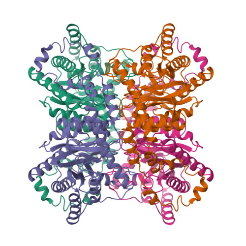 RCSB PDB - 1XYL: THE ROLE OF THE DIVALENT METAL ION IN SUGAR BINDING ...