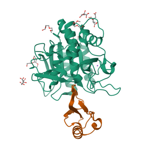 RCSB PDB - 1Y34: Crystal structure of the complex of subtilisin BPN ...