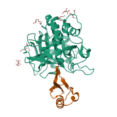 RCSB PDB - 1Y3C: Crystal structure of the complex of subtilisin BPN ...