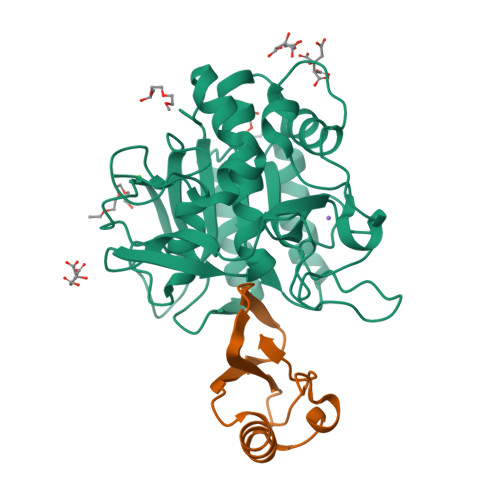 RCSB PDB - 1Y48: Crystal structure of the complex of subtilisin BPN ...