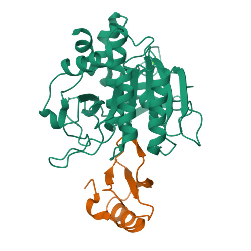 RCSB PDB - 1Y4D: Crystal structure of the complex of subtilisin BPN ...
