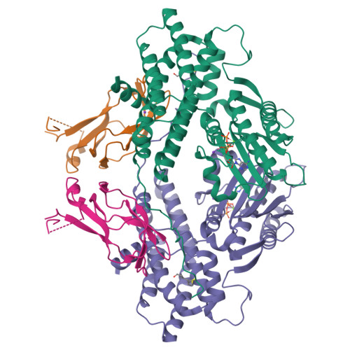 RCSB PDB - 1Y8P: Crystal structure of the PDK3-L2 complex