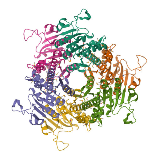 RCSB PDB - 1YBD: Crystal structure analysis of uridylate kinase from ...