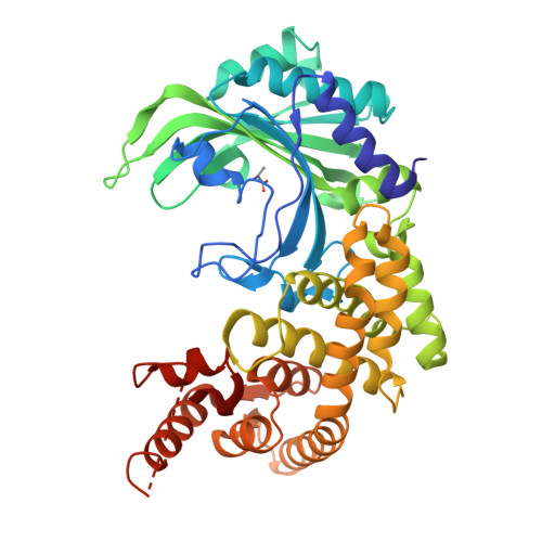 RCSB PDB - 1YFS: The crystal structure of alanyl-tRNA synthetase in ...