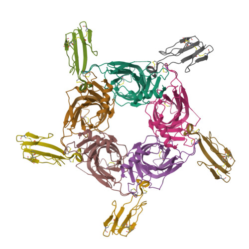 RCSB PDB - 1YI5: Crystal structure of the a-cobratoxin-AChBP complex