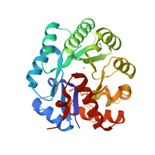 RCSB PDB - 1YIX: Crystal structure of YCFH, TATD homolog from ...