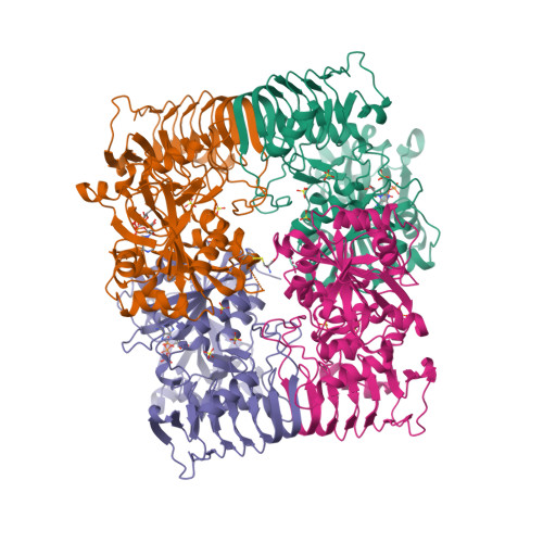 Glucose Crystal Structure
