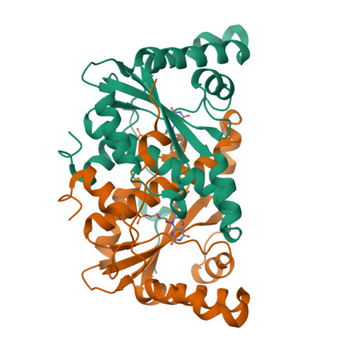 RCSB PDB - 1YWQ: Crystal structure of a nitroreductase family protein ...