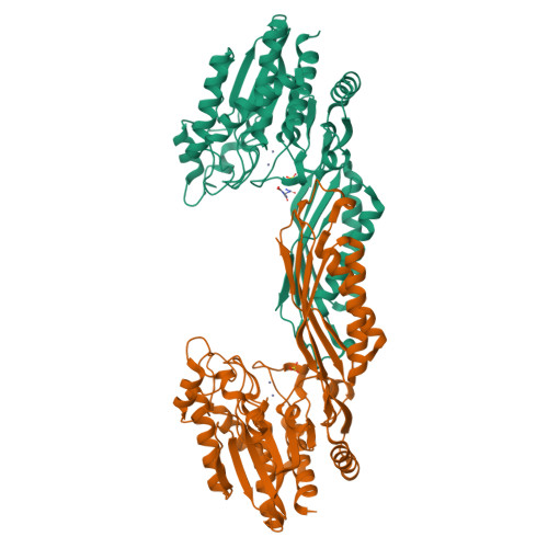 RCSB PDB - 1Z2L: Crystal structure of Allantoate-amidohydrolase from E ...