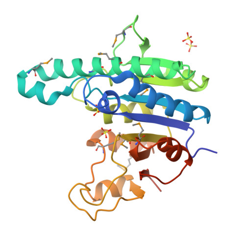 RCSB PDB - 1Z9D: Crystal structure of a putative uridylate kinase (UMP ...