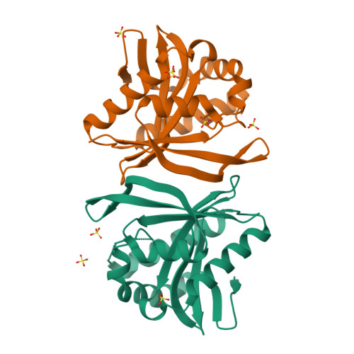 RCSB PDB - 1Z9U: Structural Genomics, The crystal structure of the ...