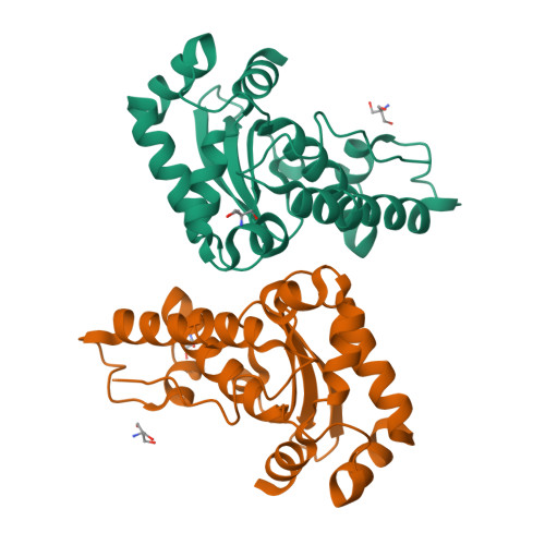 RCSB PDB - 1ZA5: Q69H-FeSOD