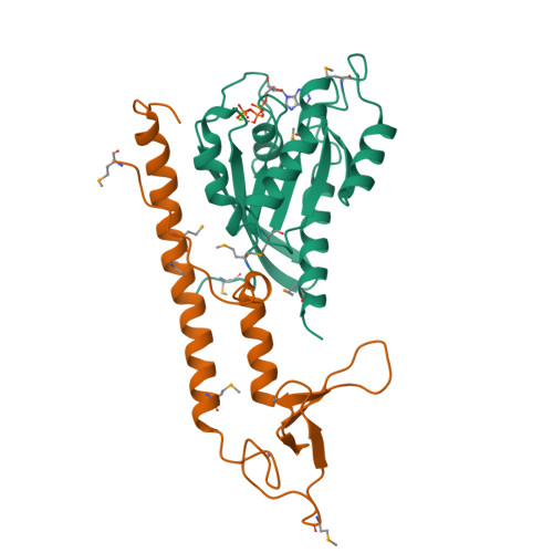 RCSB PDB - 1ZBD: STRUCTURAL BASIS OF RAB EFFECTOR SPECIFICITY: CRYSTAL ...