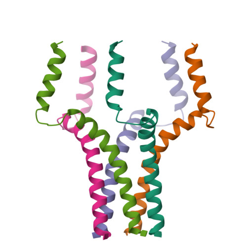 RCSB PDB - 1ZLL: NMR Structure of Unphosphorylated Human Phospholamban ...