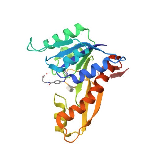 RCSB PDB - 1ZLY: The structure of human glycinamide ribonucleotide ...