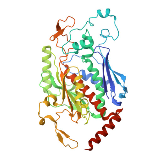 RCSB PDB - 1ZTB: Crystal Structure of Chorismate Synthase from ...